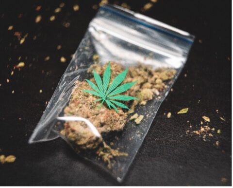 Drug tests every year in New Zealand and Australia by TDDA